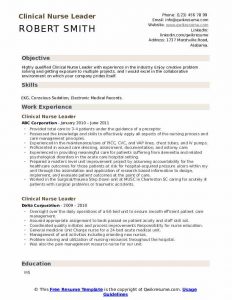 Download Free Clinical Nurse Leader Resume .Docx (Word) Template on ...