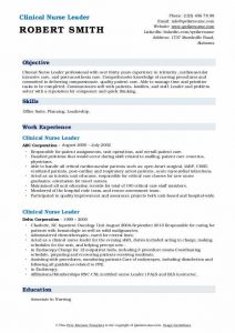 Download Free Clinical Nurse Leader Resume .Docx (Word) Template on ...