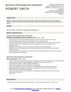 Download Free Business Development Assistant Resume .Docx (Word ...