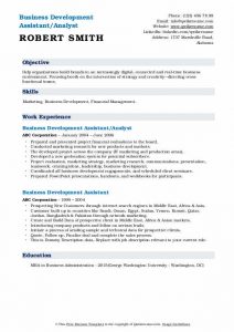 Download Free Business Development Assistant/Analyst Resume .Docx (Word ...