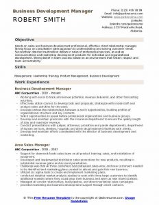 Download Free Business Development Manager Resume .Docx (Word) Template ...