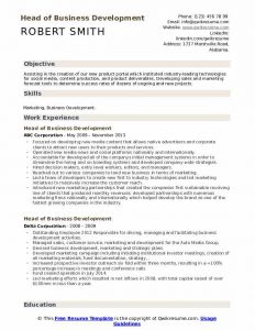 Download Free Head of Business Development Resume .Docx (Word) Template ...