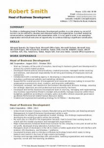 Download Free Head of Business Development Resume .Docx (Word) Template ...
