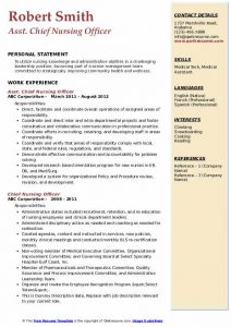 Download Free Asst. Chief Nursing Officer Resume .Docx (Word) Template ...