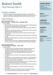 Download Free Chief Nursing Officer I Resume .Docx (Word) Template on ...