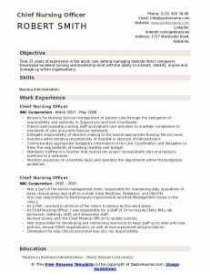 Download Free Chief Nursing Officer Resume .Docx (Word) Template on ...