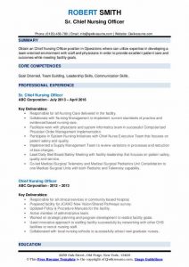 Download Free Sr. Chief Nursing Officer Resume .Docx (Word) Template on ...