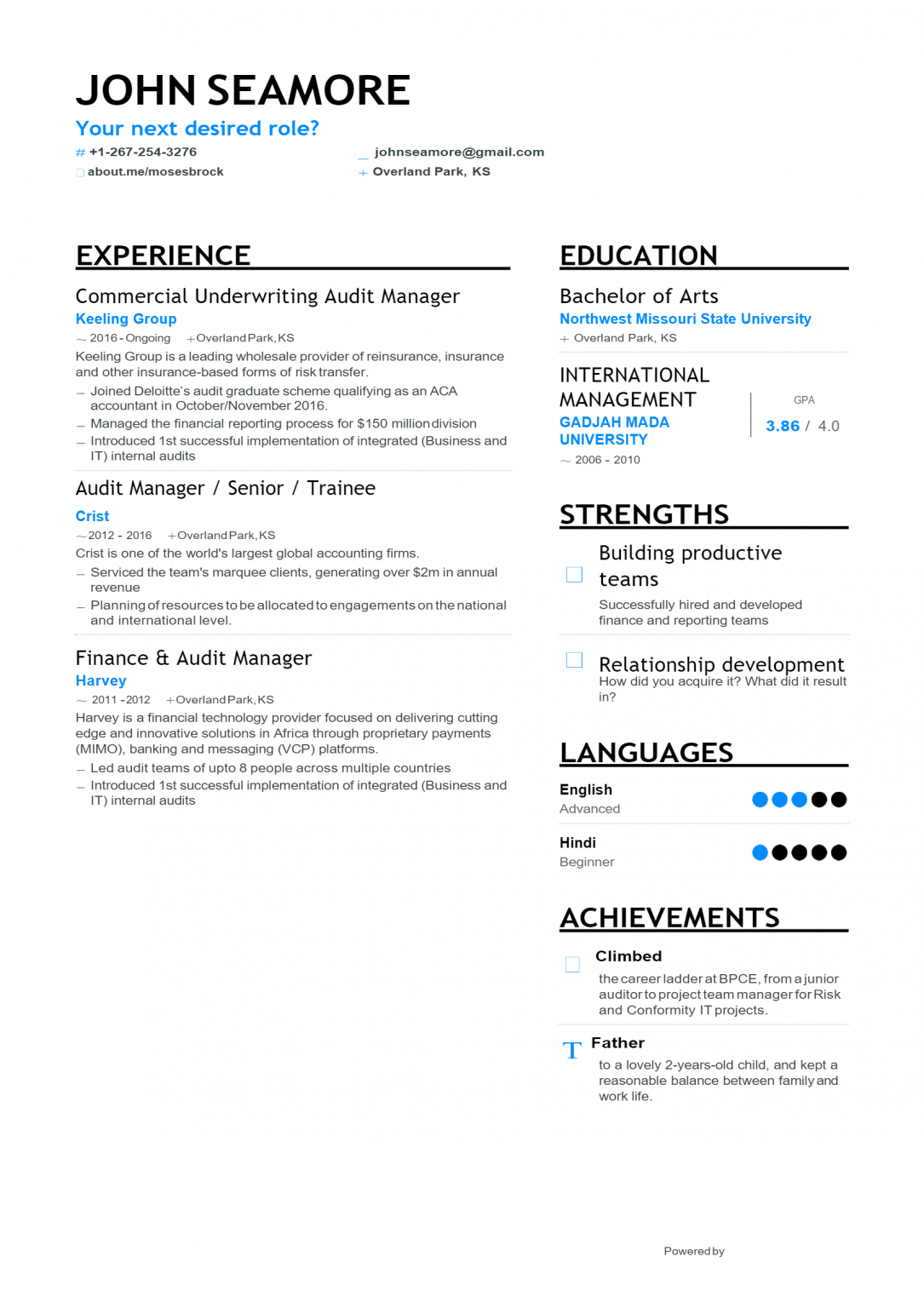 Download Free Audit Manager Resume .Docx (Word) Template on ...
