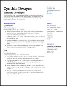 Download Free Software Developer Resume Sample .Docx (Word) Template on ...