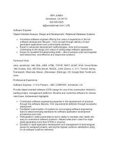 Download Free Software Developer Docx Word Template On