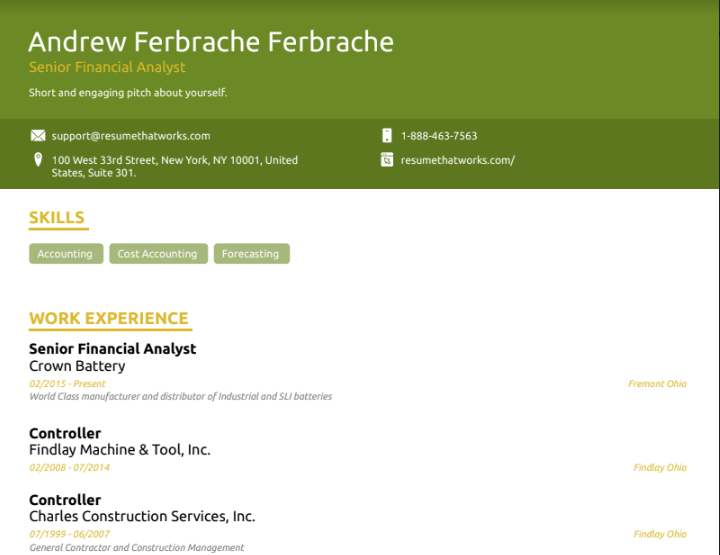 Download Free Senior Financial Analyst Resume Template On